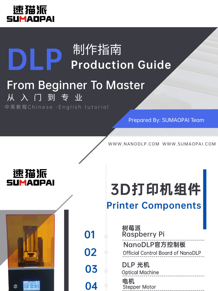 DLP Production Process-1 | PDF