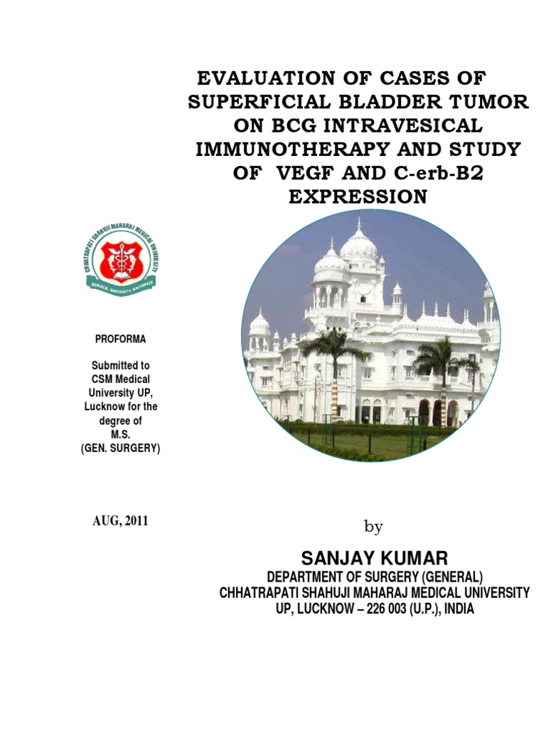 Thesis Proforma | PDF | Vascular Endothelial Growth Factor | Cell Biology