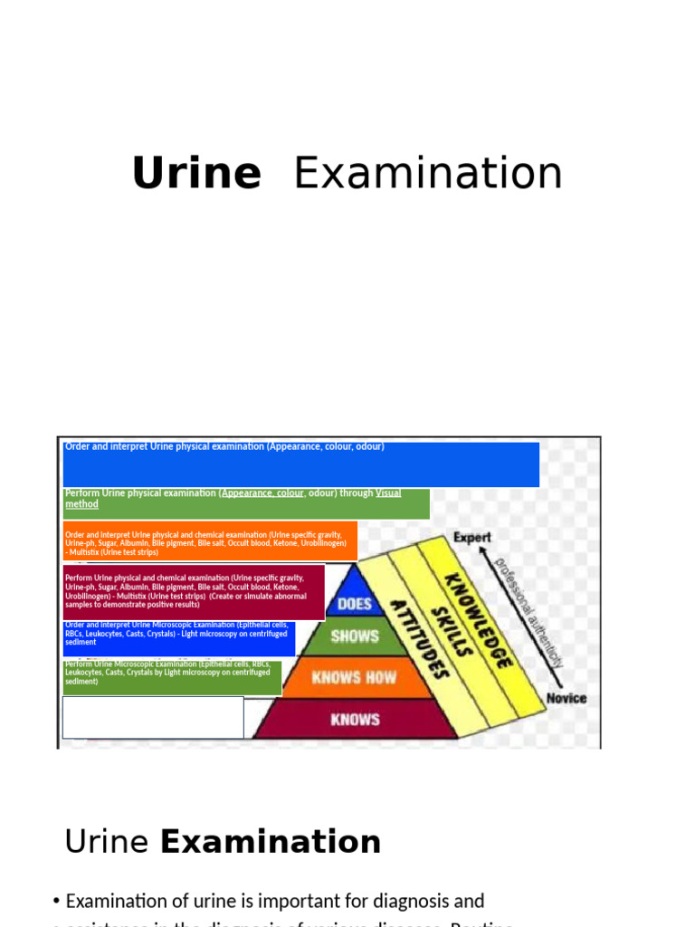 Urine Examination | PDF | Urine | Clinical Medicine