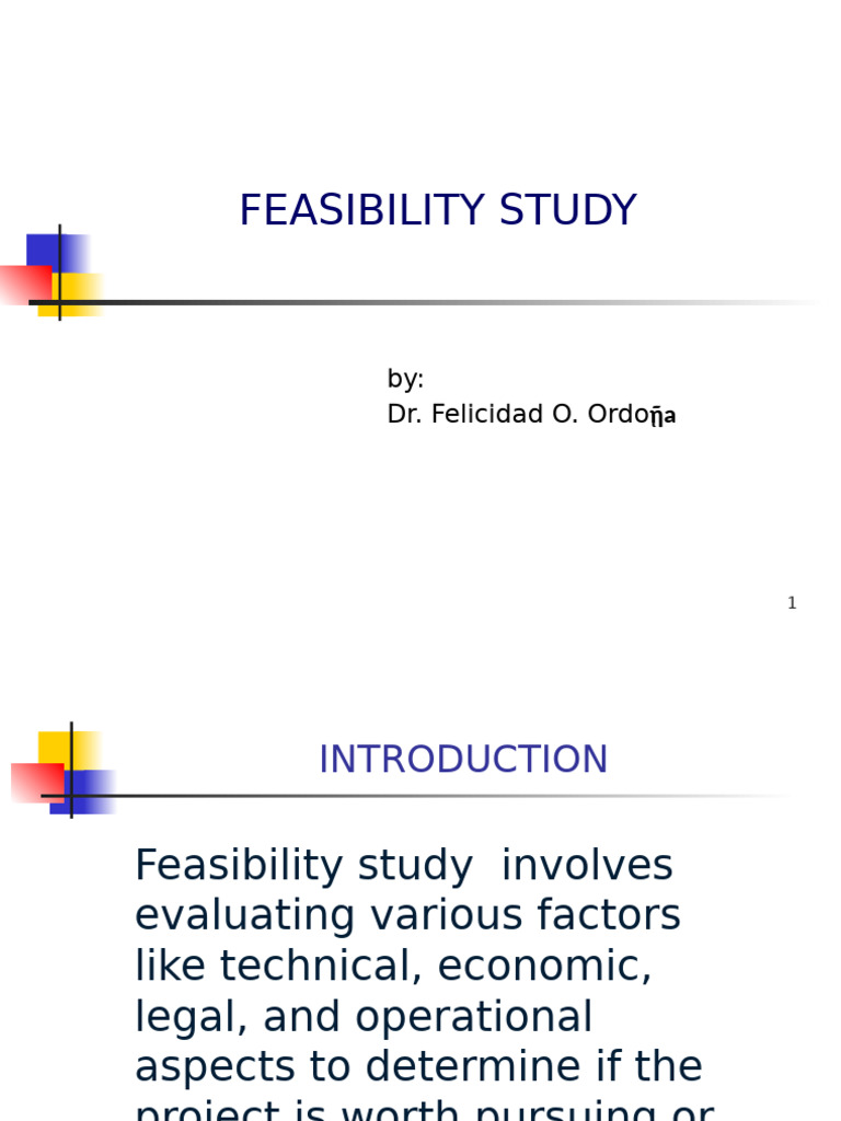 Feasibility Study Overview and Insights | PDF | Marketing | Feasibility ...