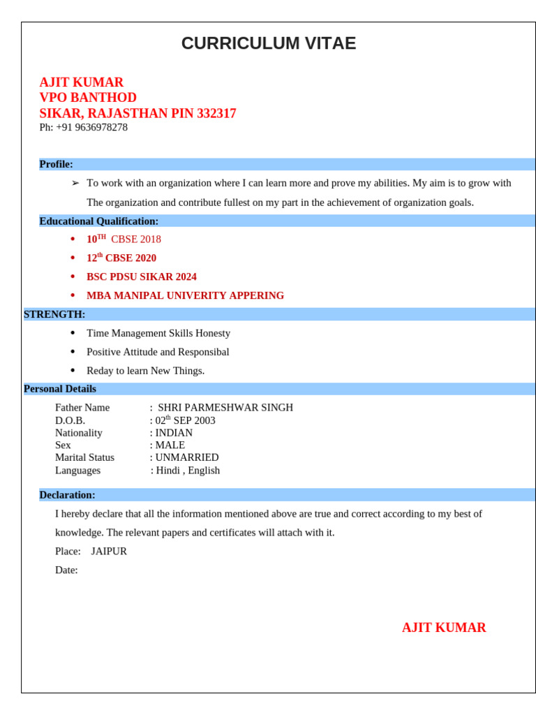 Ajit Kumar's Professional CV | PDF