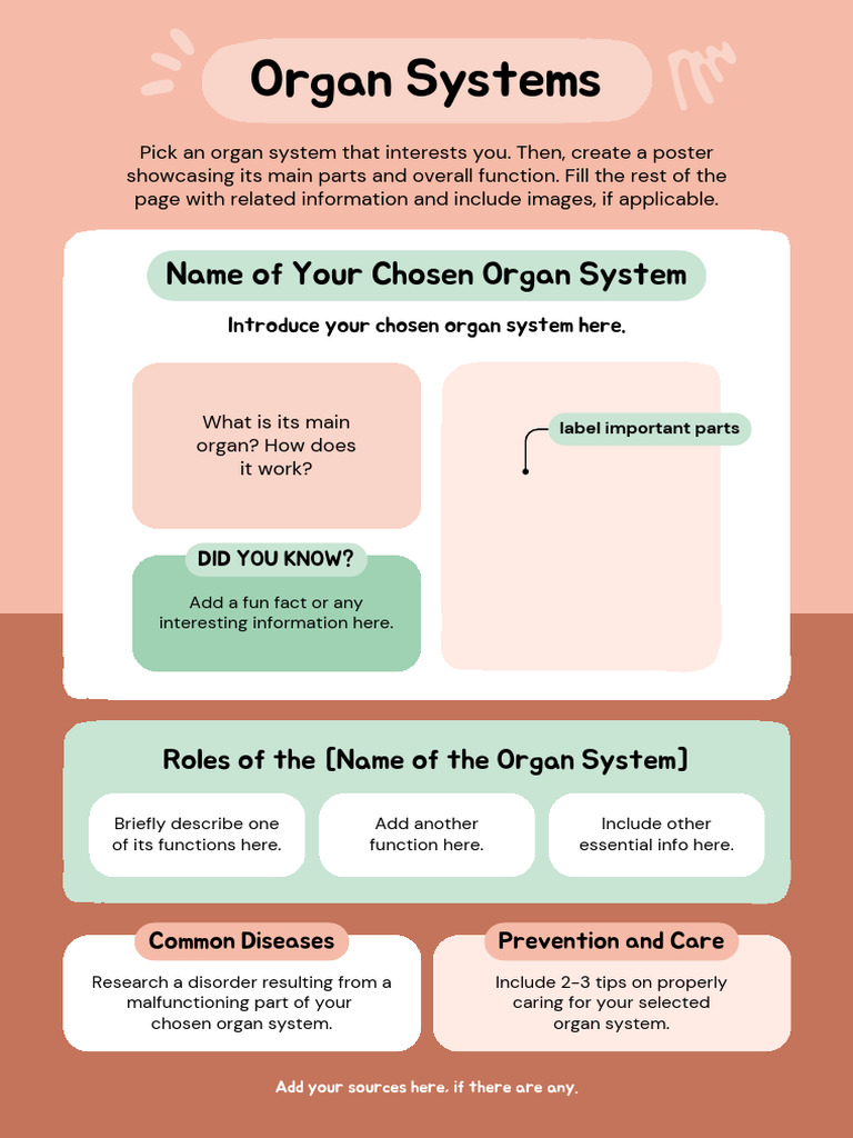 Organ Systems Educational Poster in Light Pink Brown Hand Drawn Style ...