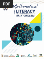 2025 Grade 12 Mathematical Literacy Ratp | PDF | Interest | Taxes