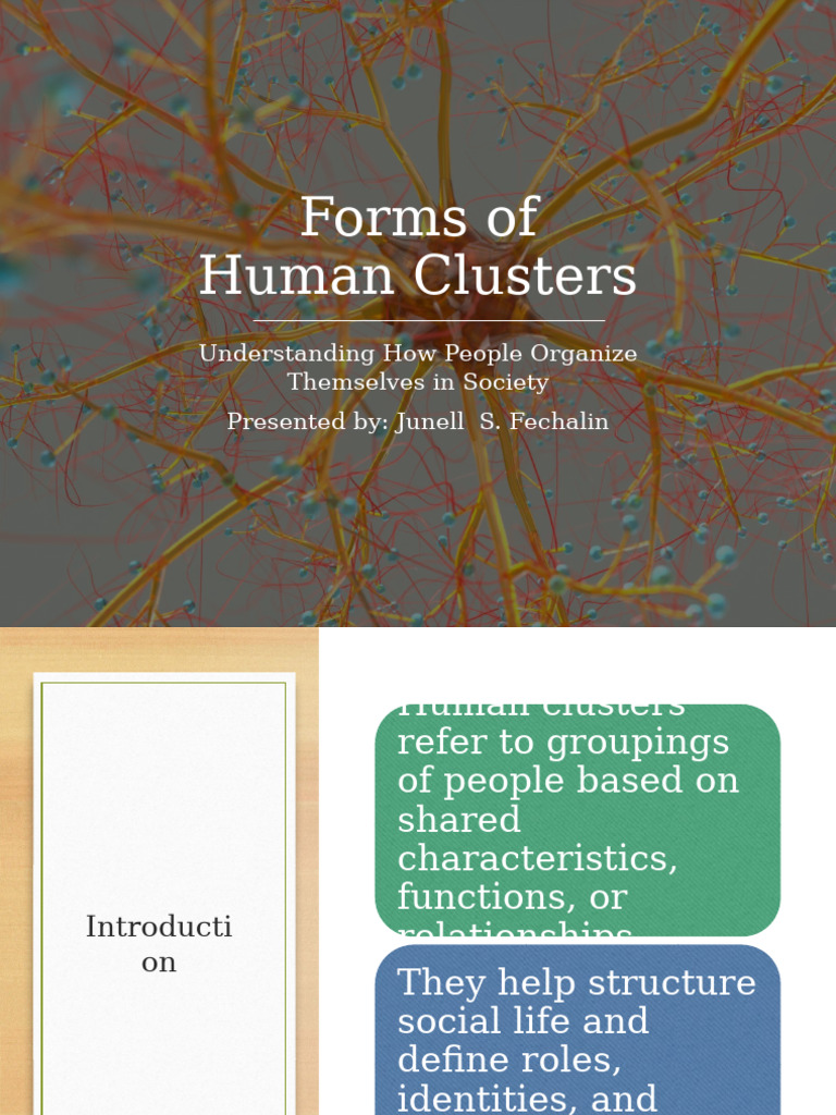 Understanding Human Social Clusters | PDF | Identity (Social Science ...