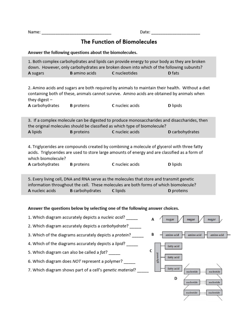 Biomolecules Structure and Function Worksheet | PDF | Biomolecules ...