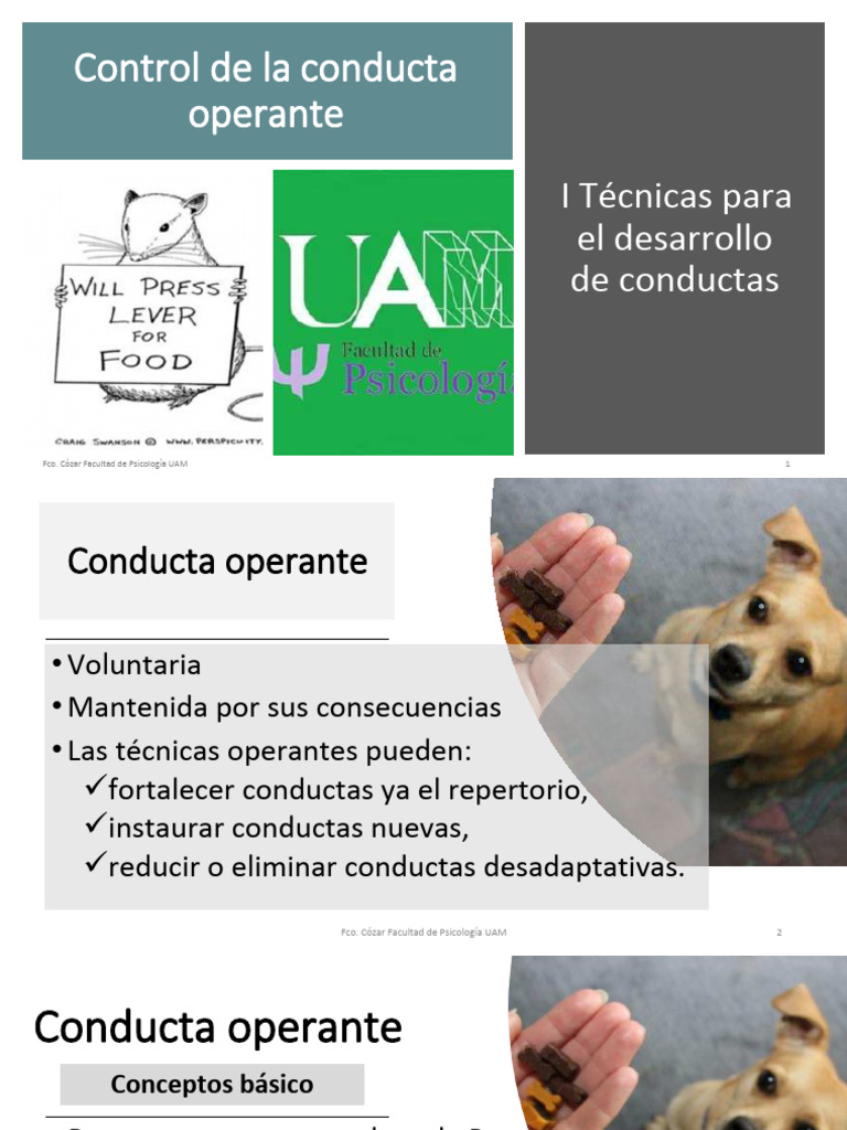 T.6 Técnicas Para El Control de La Conducta Operante I | PDF ...