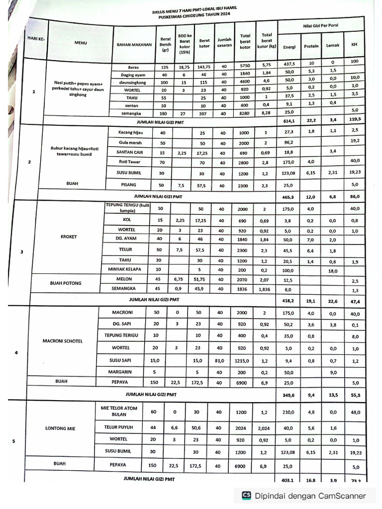 Siklus Menu Ibu Hamil | PDF