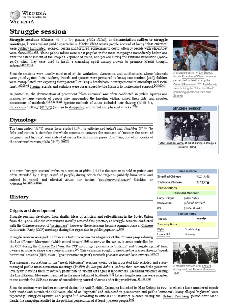 Understanding Struggle Sessions in China | PDF | Maoism | Politics Of China