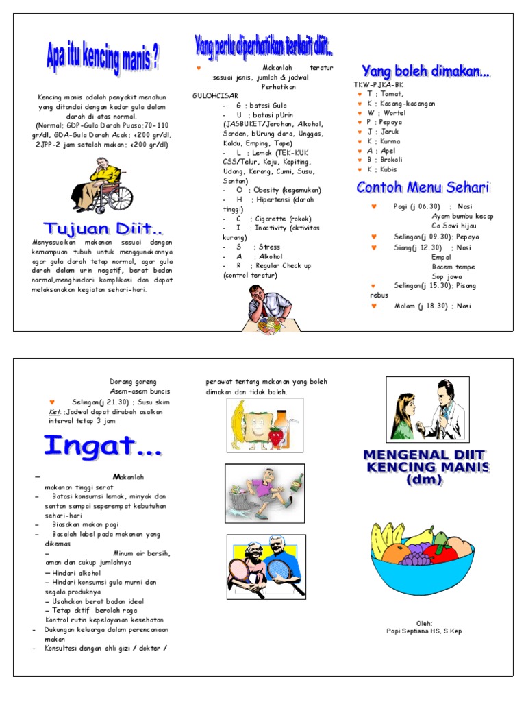 Leaflet Diit DM | PDF