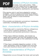 Phylum Priapulida | PDF