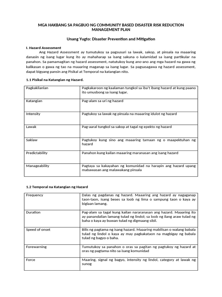 DRRM Plan | PDF