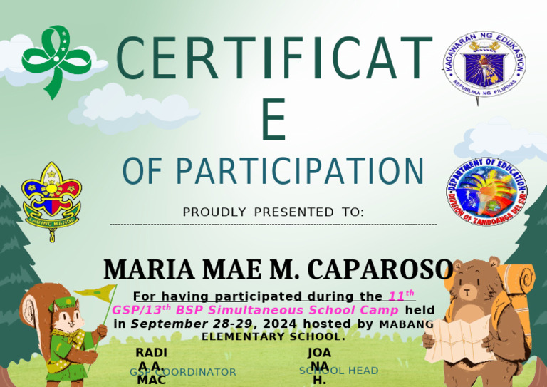 GSP&BSP Certificate of Participation (Radia A. Macare) | PDF