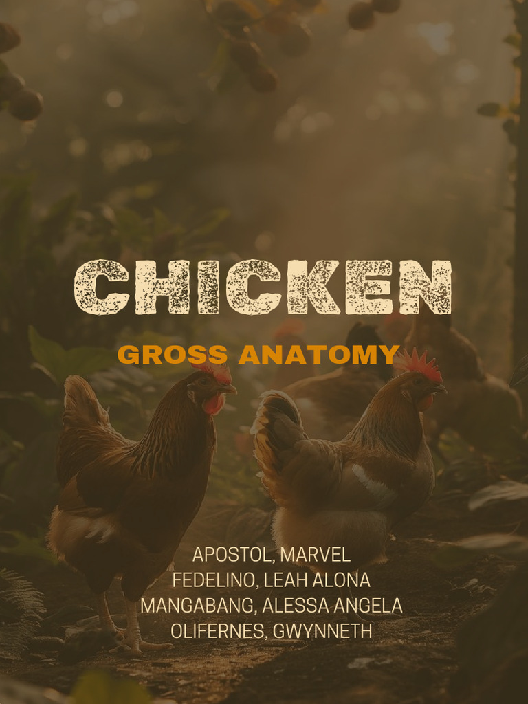 Gross Anatomy of Chicken | PDF | Human Body | Anatomy
