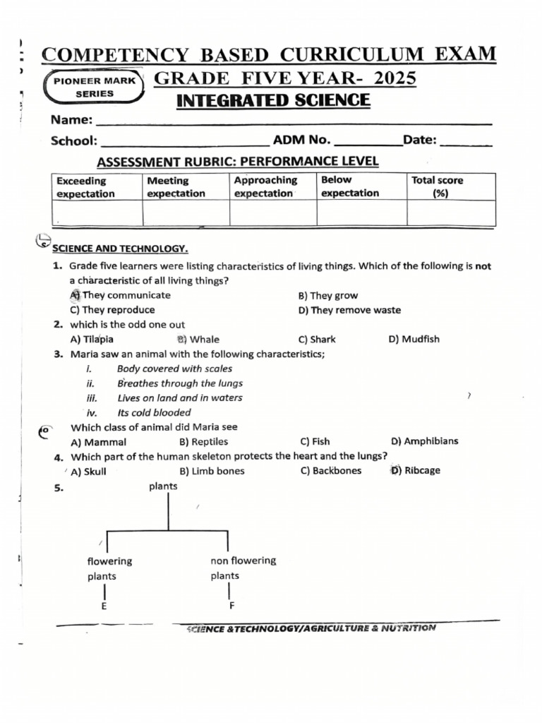 Integrated Science Grade 5 Term 2 2025 | PDF