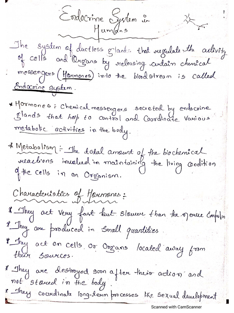 Endocrine System (ICSE CLASS 8 BIO) PART-1 | PDF