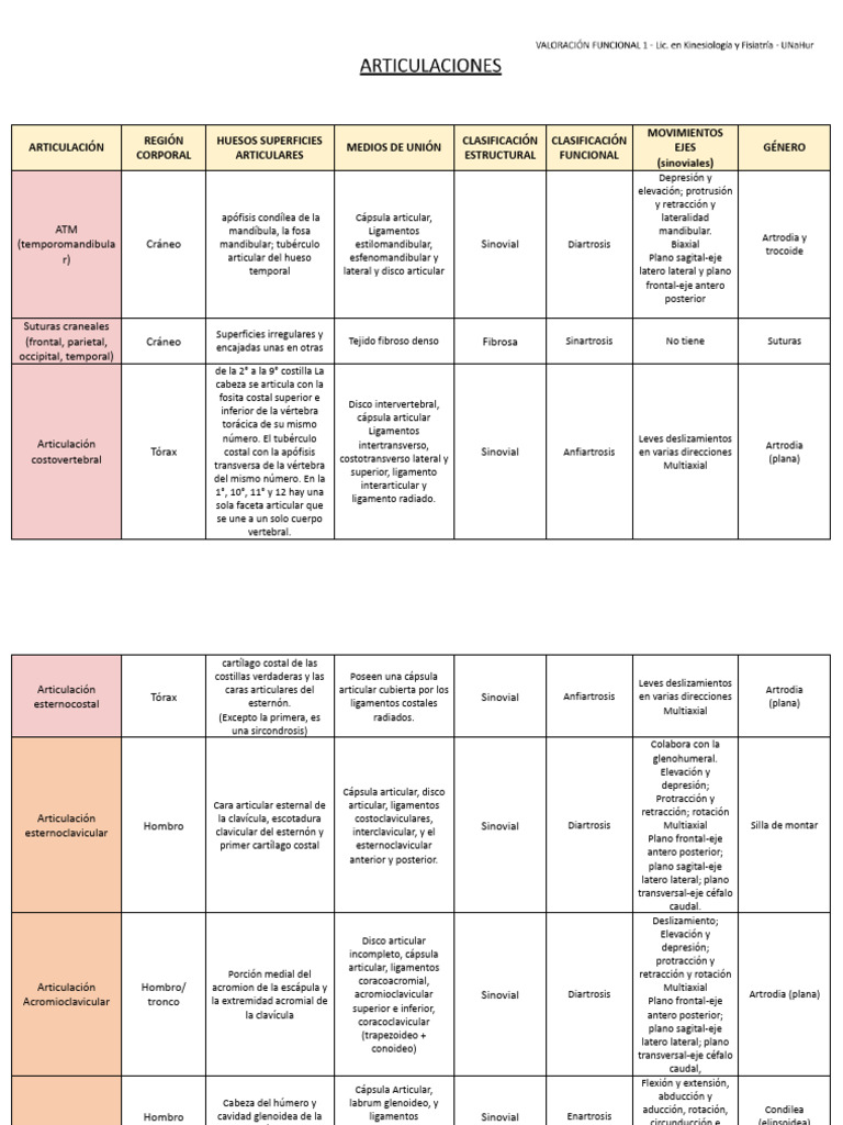 Cuadro Articulaciones - VF1 | PDF | Articulación | Rodilla