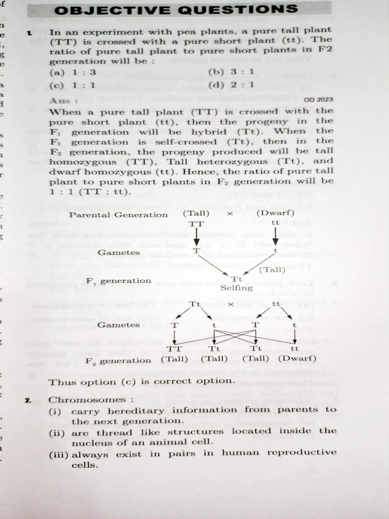 Class 10 Heredity & Evolution CBSE MCQ & A&r | PDF | Dominance ...