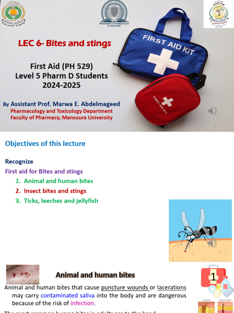 Lec6-First Aid Level 5 2024-2025 | PDF | Rabies