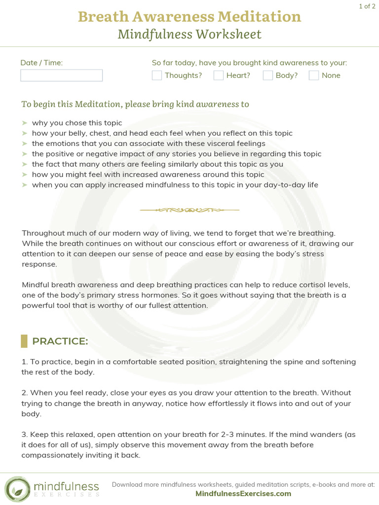 Breath Awareness Meditation Guide | PDF | Breathing | Meditation