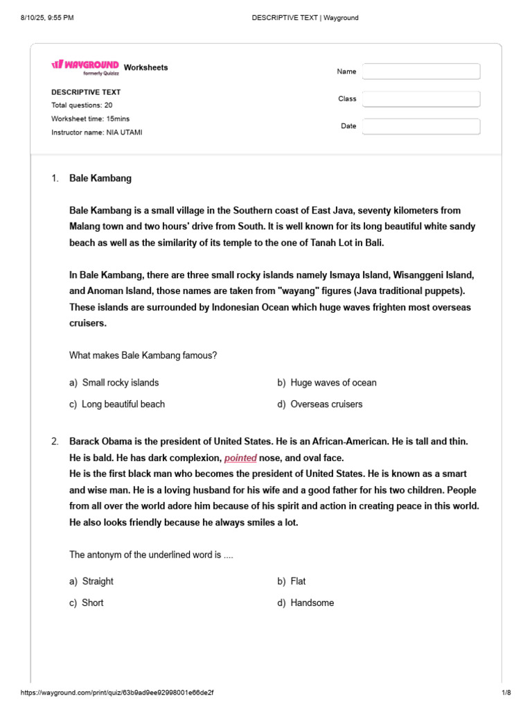 Descriptive Text Worksheets for Students | PDF