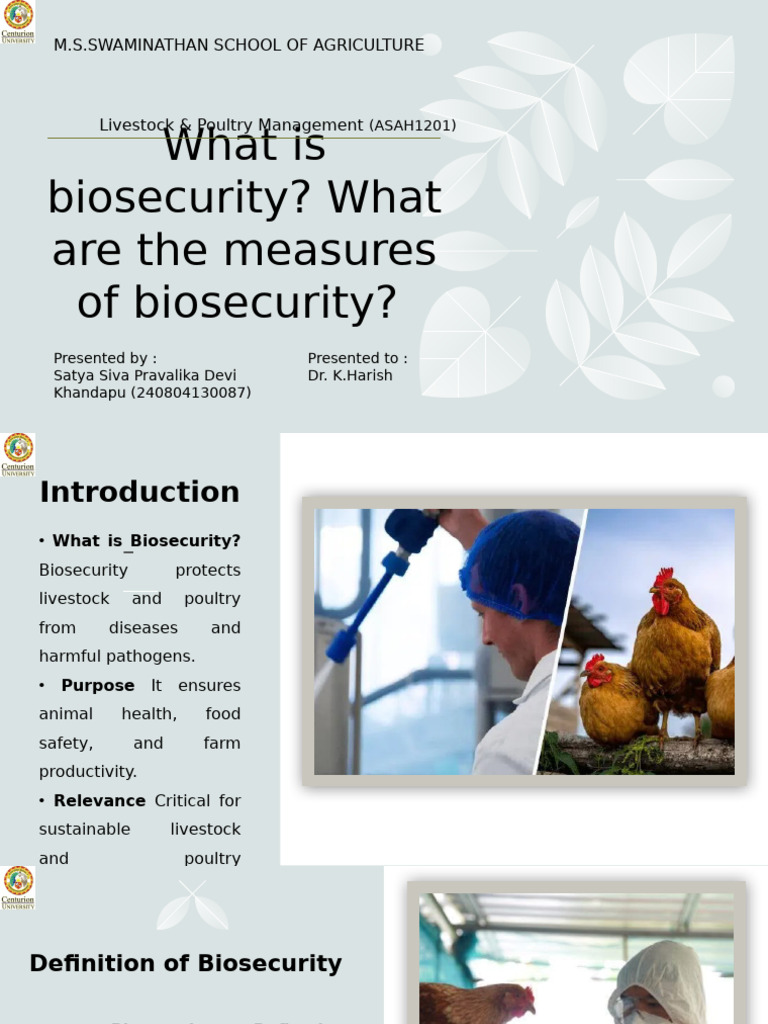 Understanding Biosecurity Measures | PDF | Livestock | Poultry