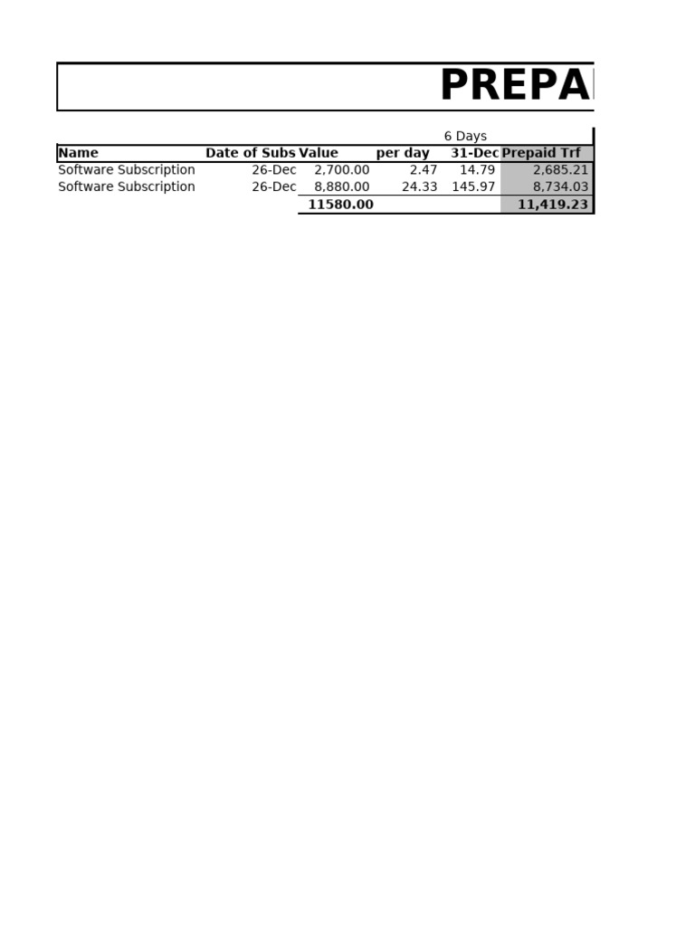 Prepaid and Paid Expense Summary | PDF