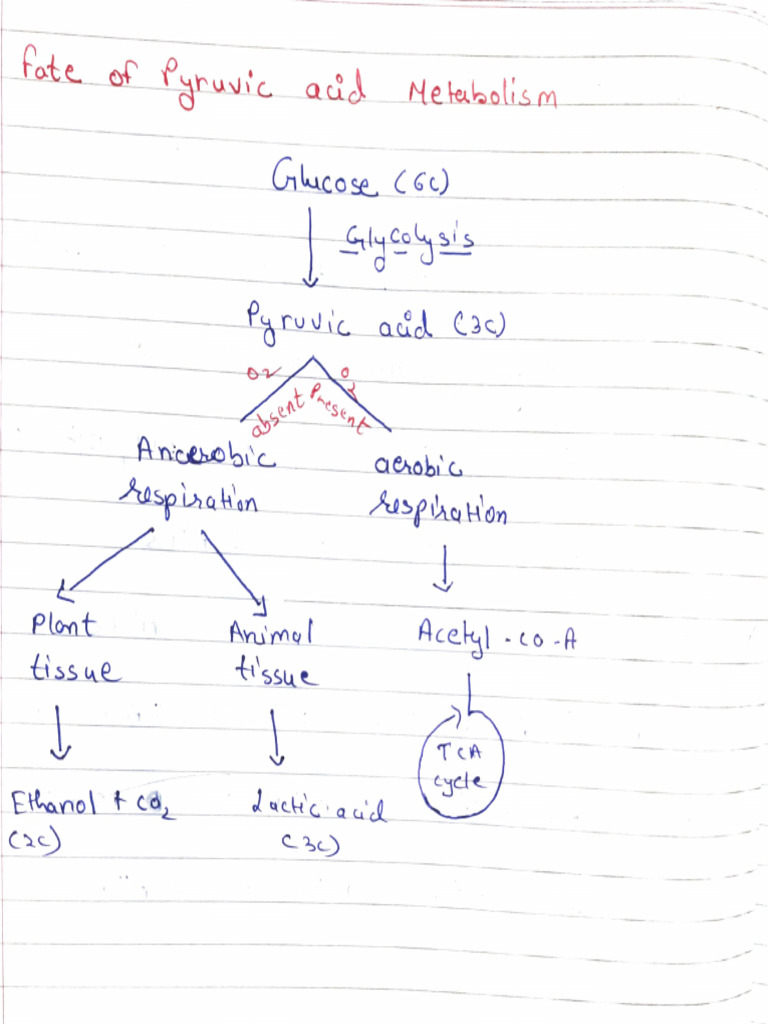 Wa0009. | PDF