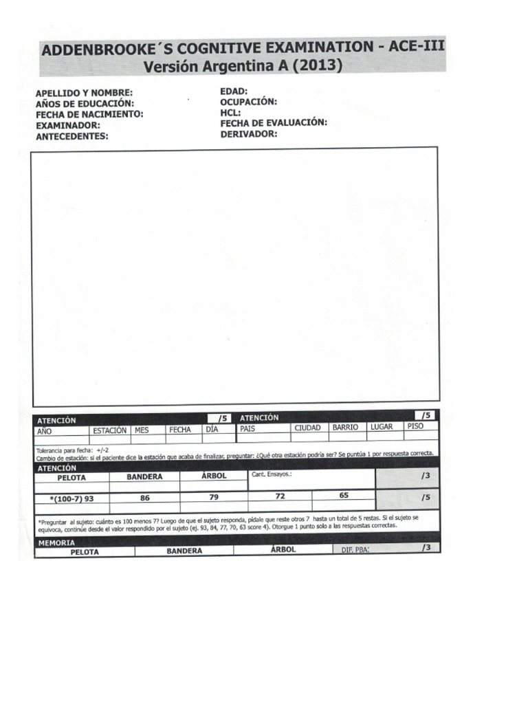 ACE Addenbrooke S Cognitive Examination Ver Arg | PDF