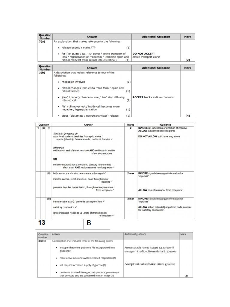 NS Quiz MS | PDF