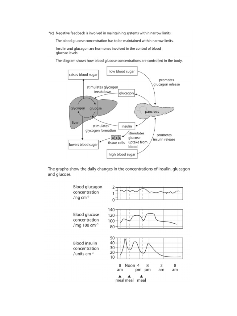 Best Asterisk Answer - Competition 1 (U5) | PDF