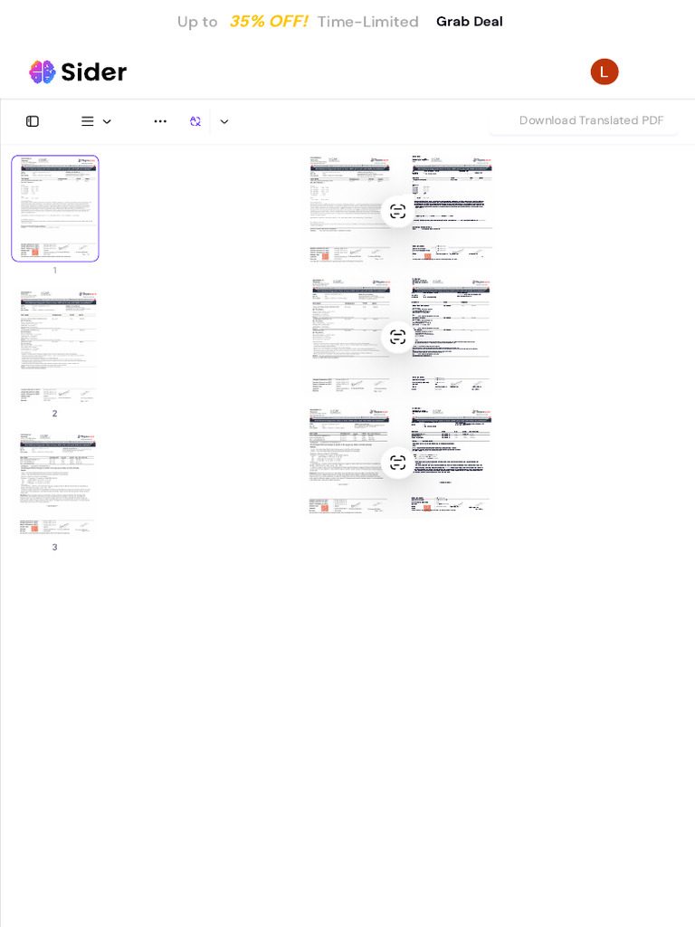Translated PDF | PDF