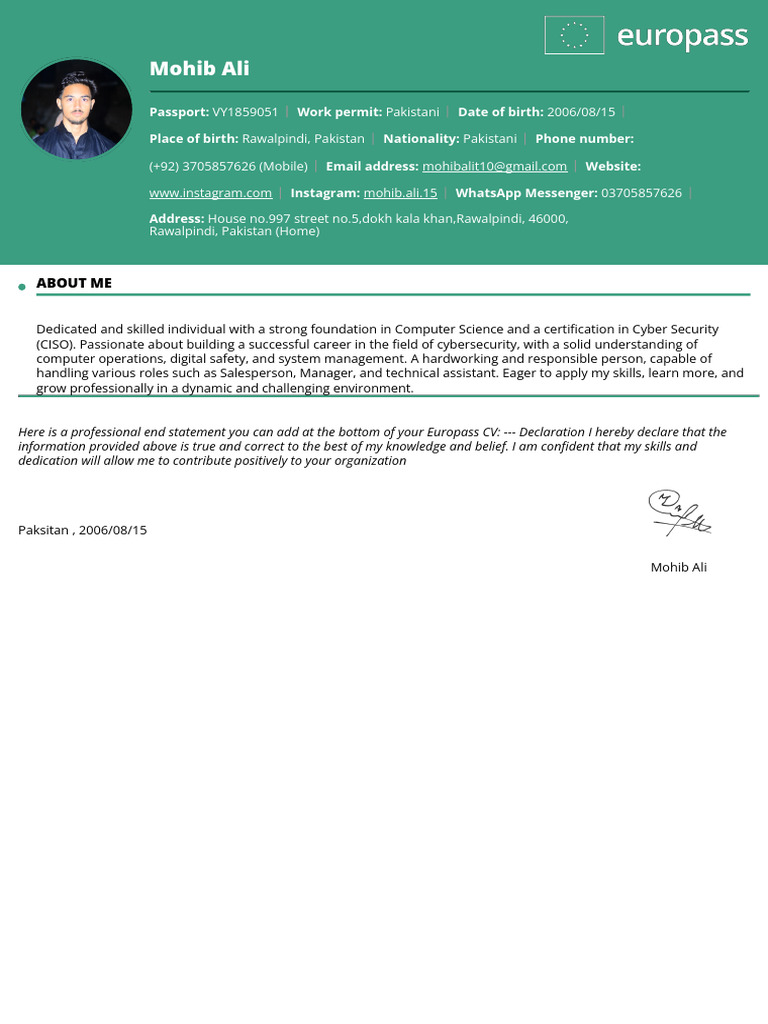 Europass CV | PDF