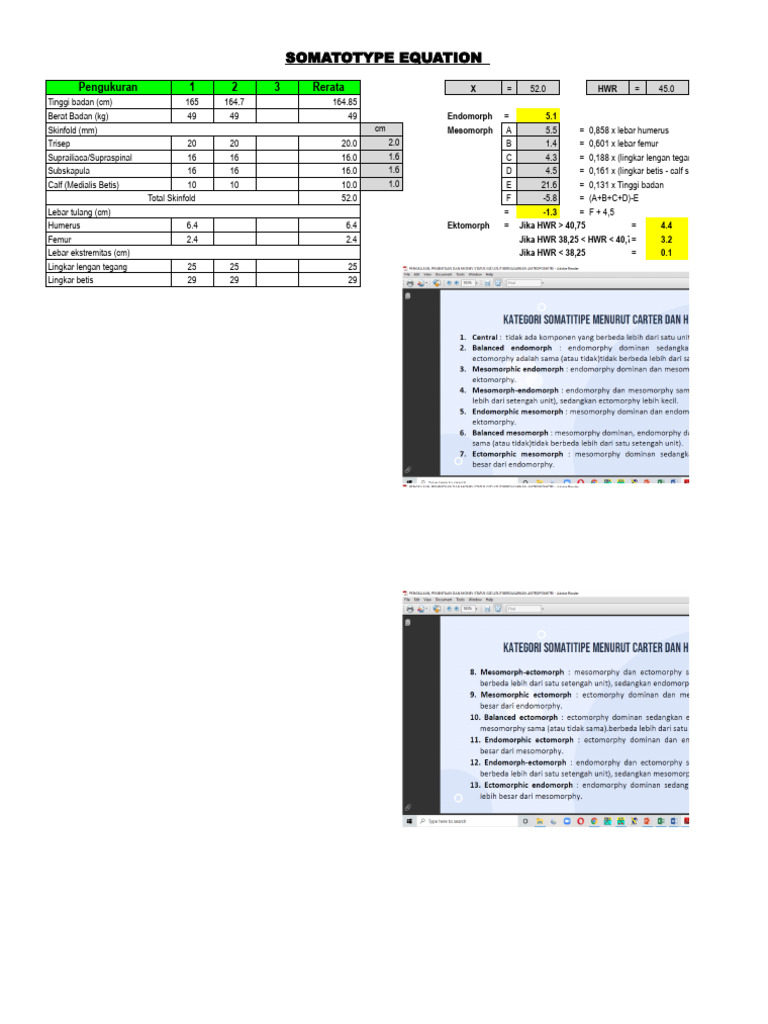 Copy Kayla of Somatotype - XLSX - Sheet1 | PDF