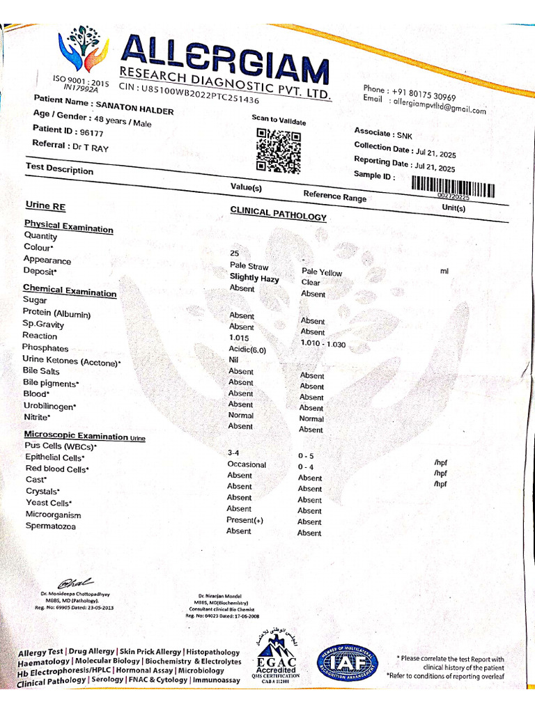 Test Report | PDF