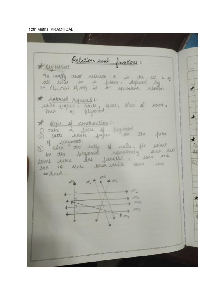 12th Maths Practical | PDF