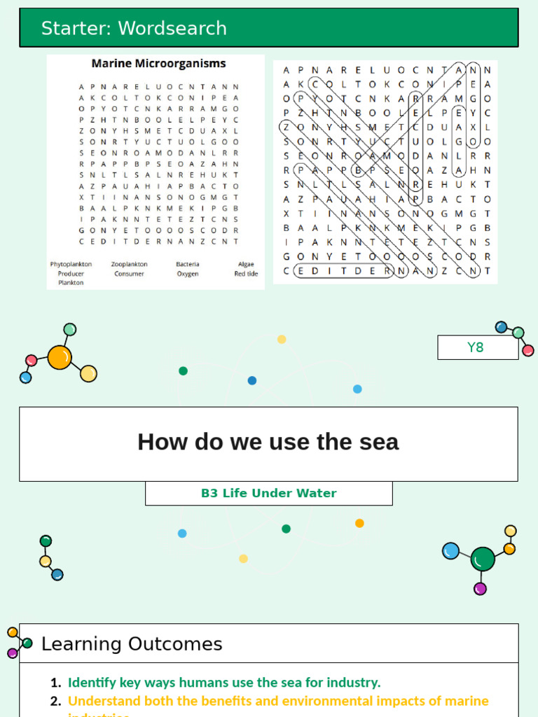 Understanding Marine Industries' Impact | PDF | Oceans | Sea