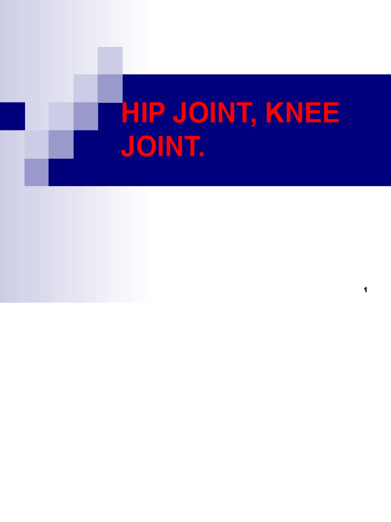 Anatomy of Lower Leg Joints | PDF | Knee | Hip