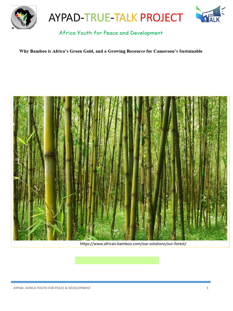 Bamboo | PDF | Carbon Sequestration | Bamboo