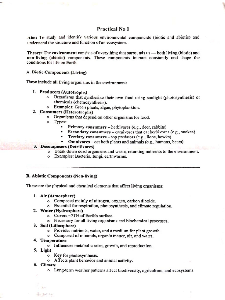 ES Practical 1 | PDF