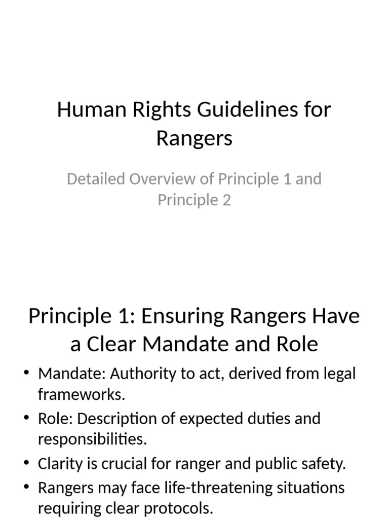 Principles 1 and 2 Human Rights Guidelines | PDF