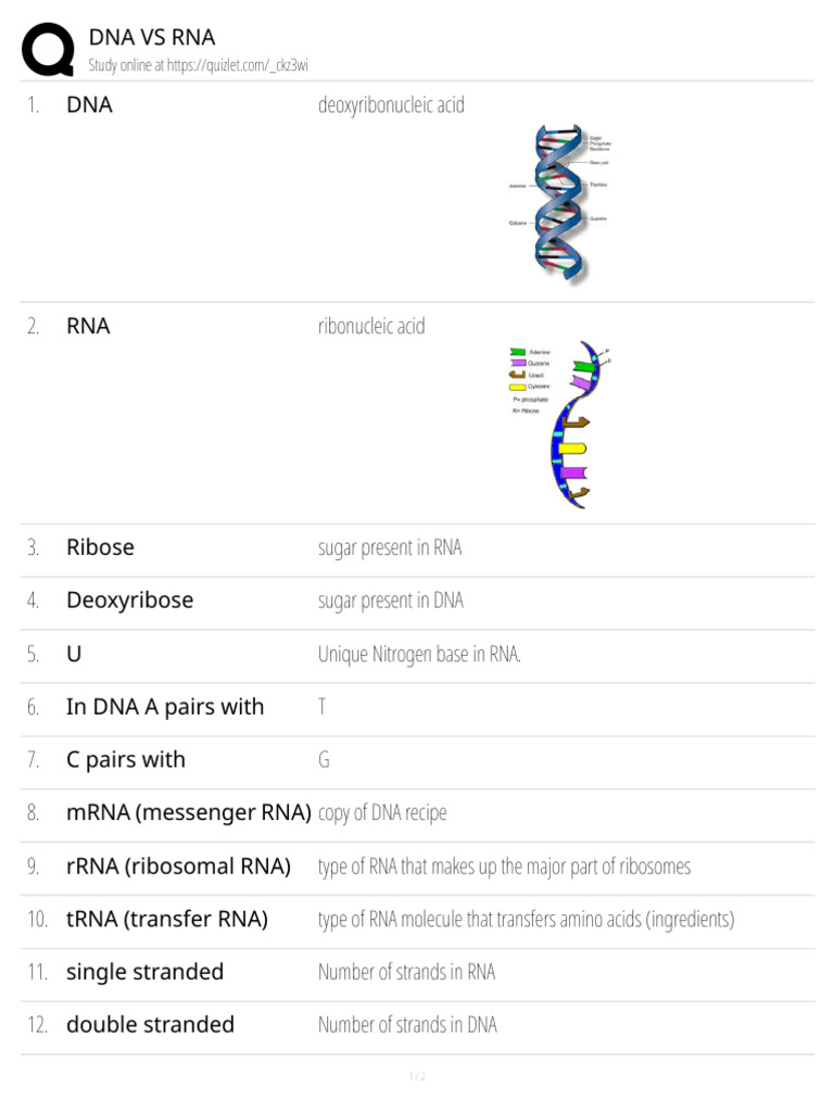 Dna VS Rna | PDF