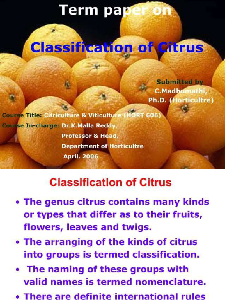Citrus Classification | PDF