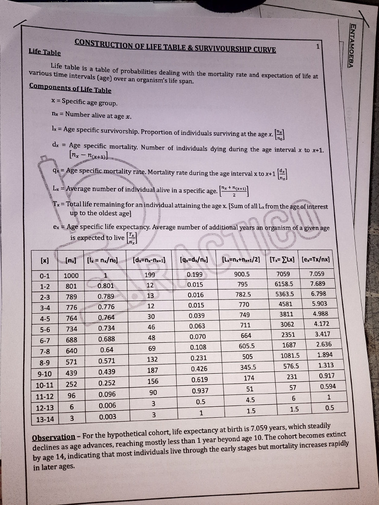Life Table Survivorship Curve | PDF | Life Expectancy | Zoology