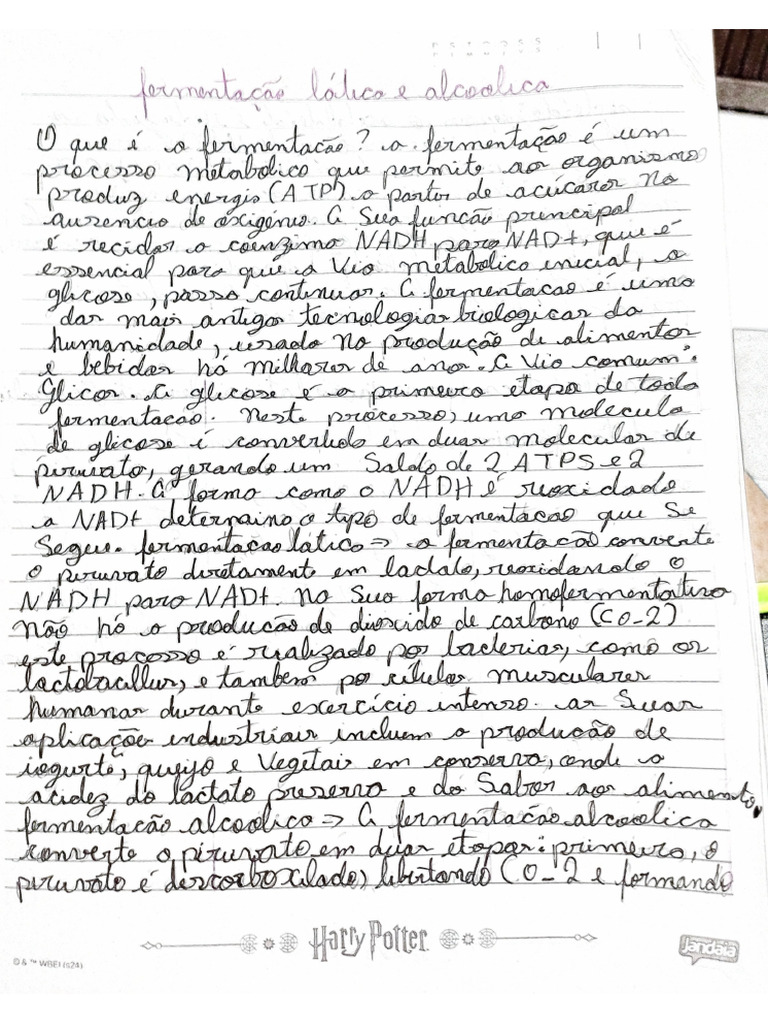 Fermentação Lática e Alcoólica | PDF