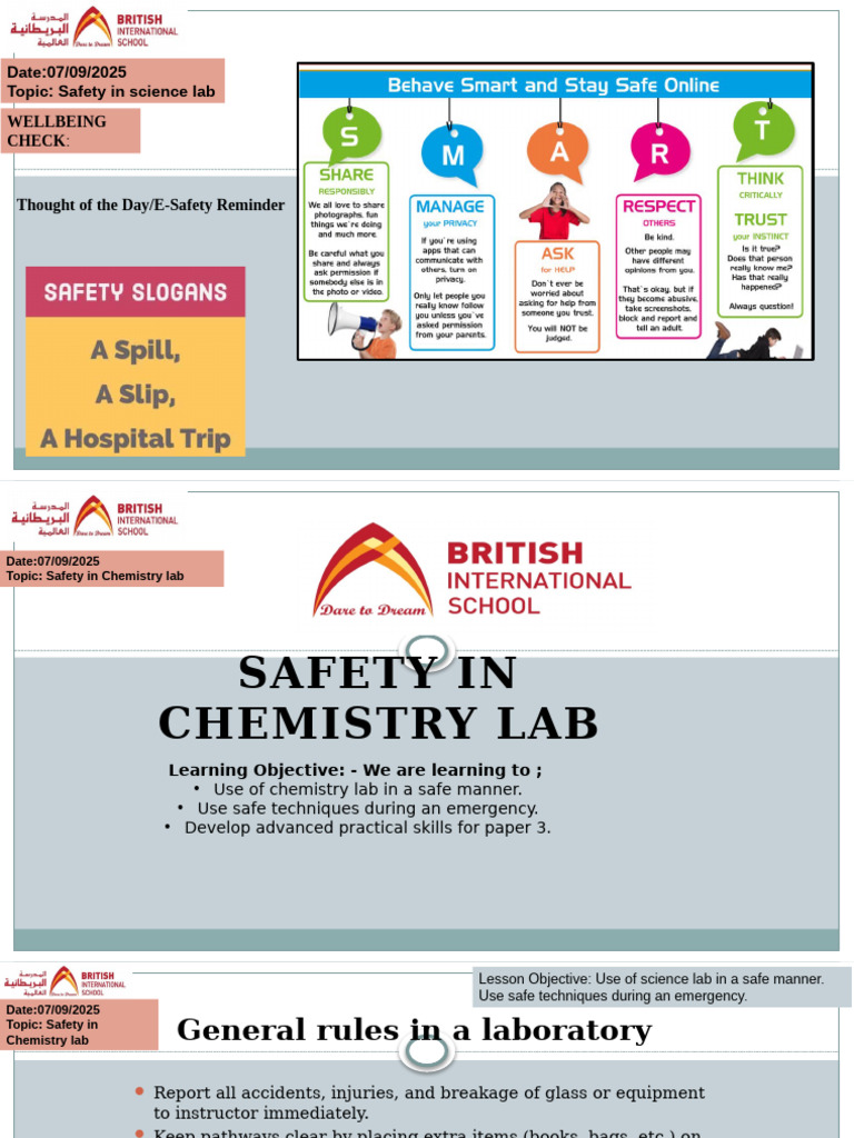 Chemistry Lab Safety Guidelines | PDF | Laboratories | Chemical Substances