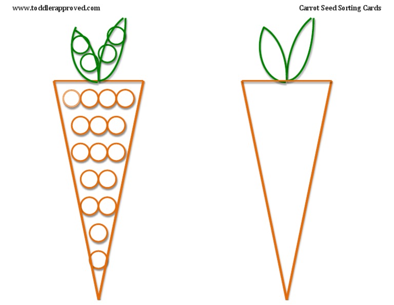 Carrot Seed Sorting Activity Cards | PDF