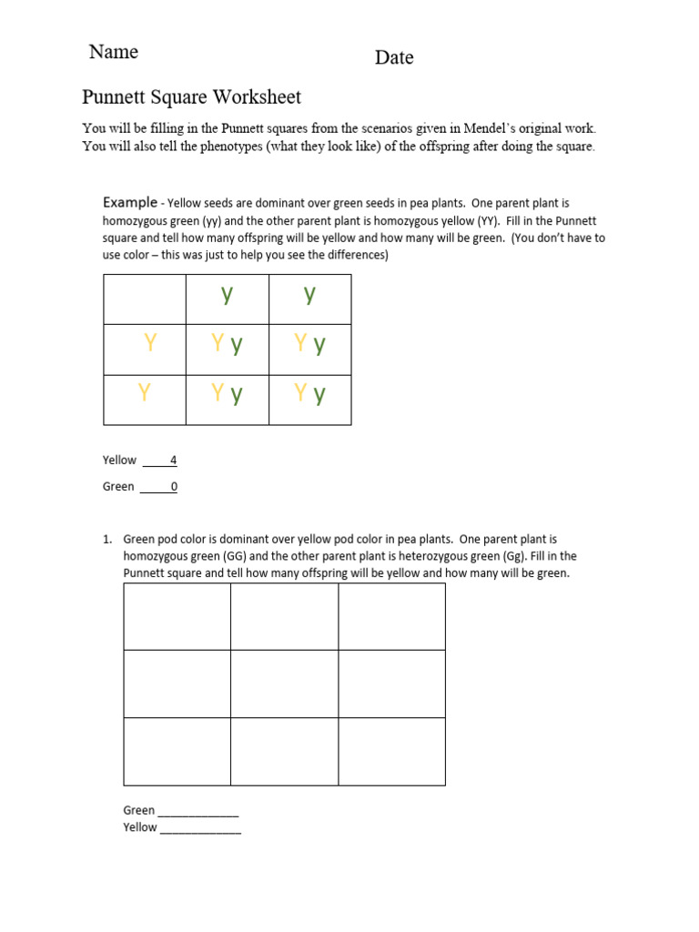 Blank Punnett Squares Worksheet