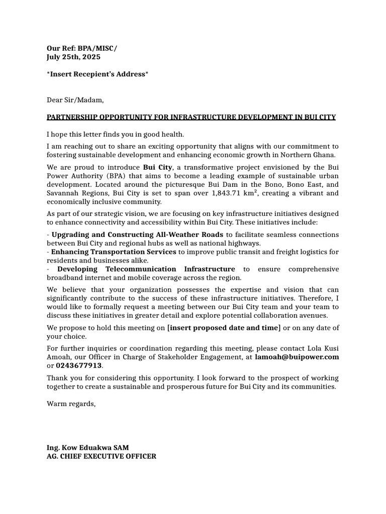 Bui City Infrastructure Partnership Proposal | PDF