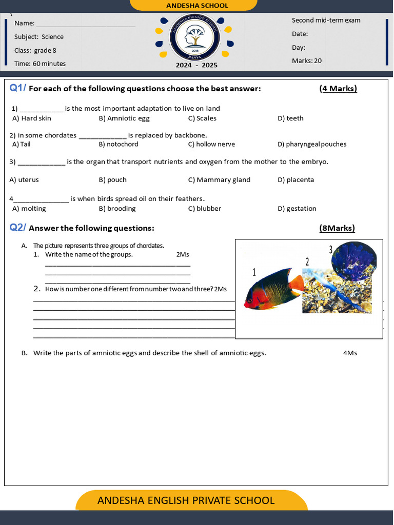 8th Grade Science Midterm Semester 2 | PDF | Egg | Mammals