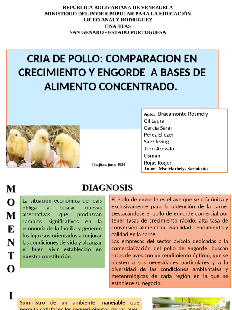 Cría de Pollo: Comparación de Crecimiento | PDF | Alimentos | Pollo